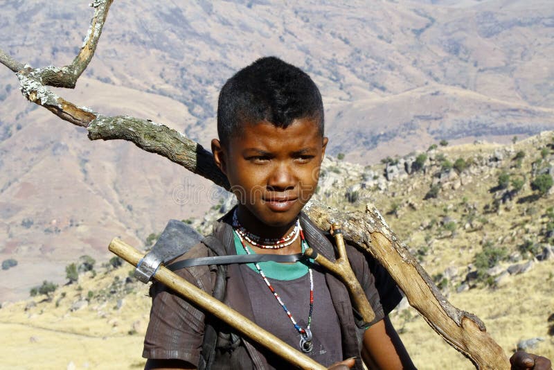 Hard Working Poor Boy Carrying a Tree Trunk - MADAGASCAR Stock Photo ...