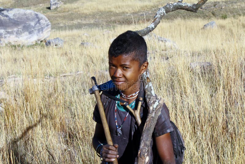 Hard Working Poor Boy Carrying a Tree Trunk - MADAGASCAR Stock Photo ...