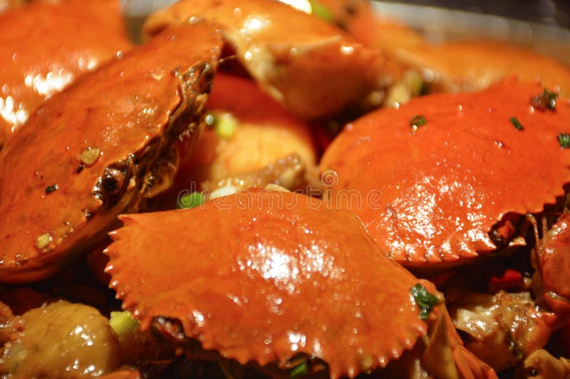 Hardshell crab pot stock photo. Image of meat, invertebrate - 283135118
