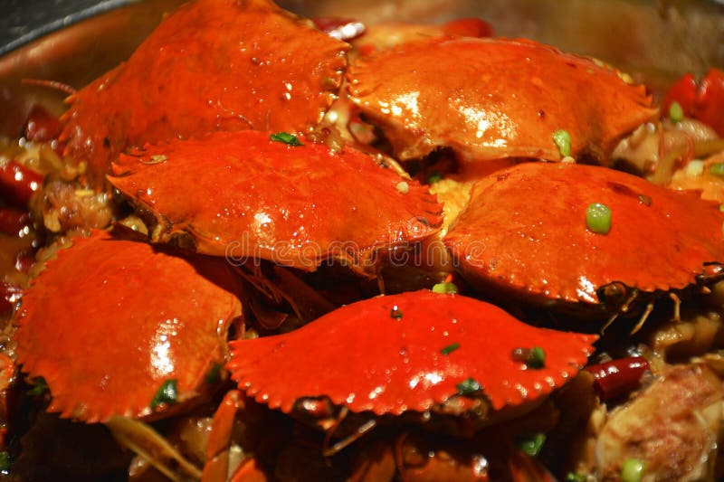 Hardshell crab pot stock image. Image of crab, produce - 283724137