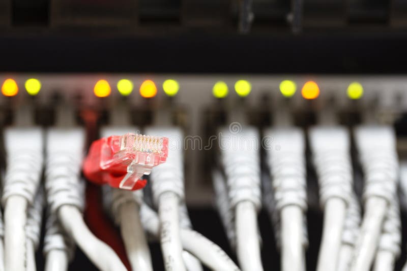 Hardware Router. To Him Summed Up, Various Computer Cables Stock Image ...