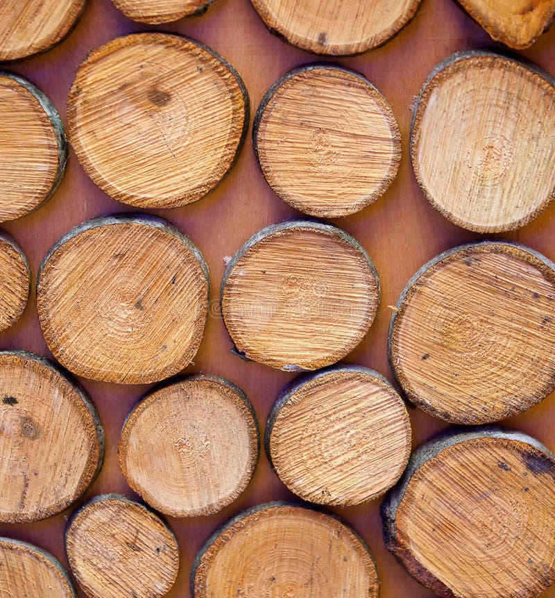 Hardwood Logs and Saw Cut Textured Stock Photo - Image of grunge ...