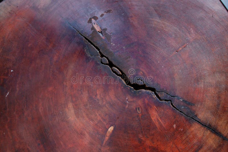 Rings of Redwood Tree Marked by Age To Show Centuries Stock Image ...