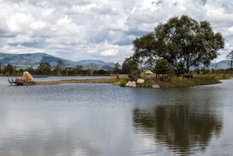 The Hare Island on the Lake Stock Photo - Image of lake, tree: 127507088