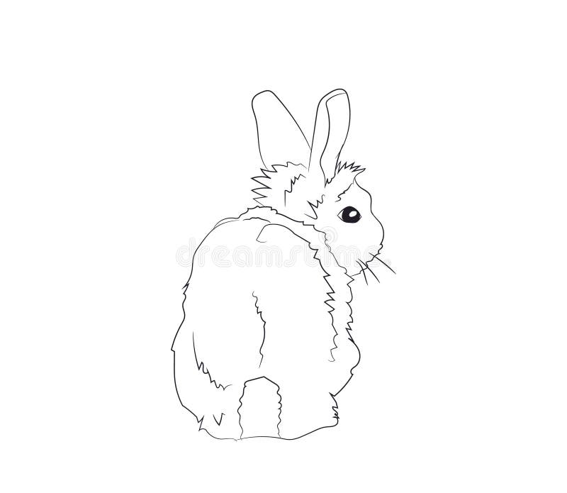 Rabbits with lines, vector stock vector. Illustration of abstract ...