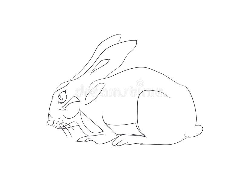 Rabbits with lines, vector stock vector. Illustration of hare - 121430447