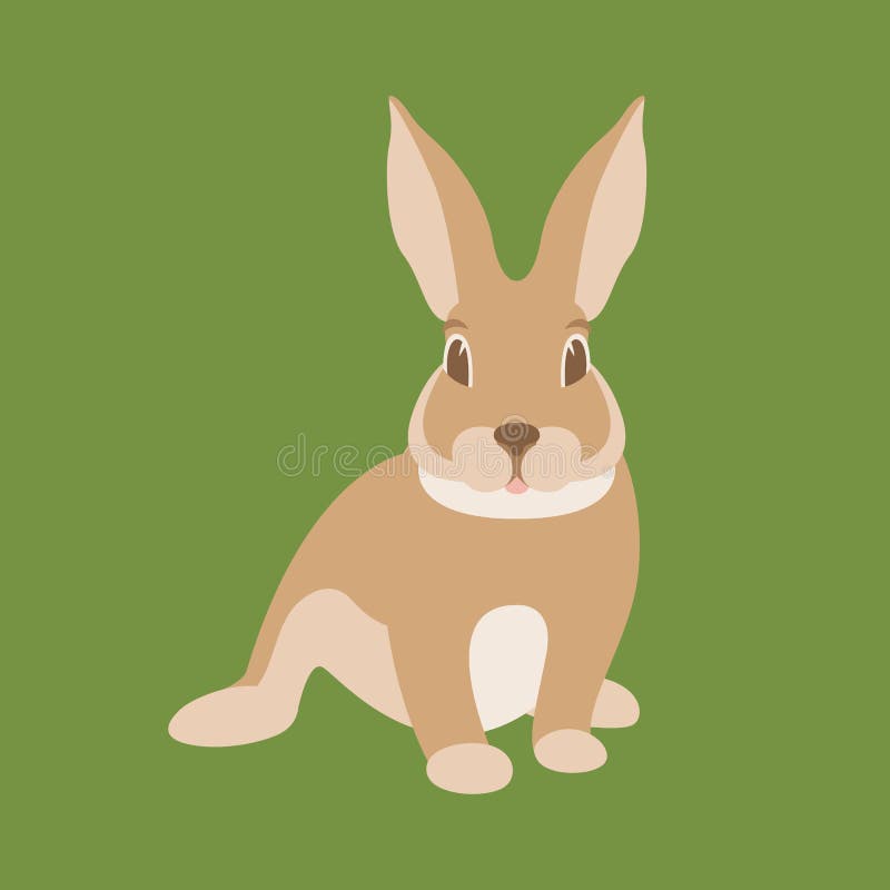 Hare Rabbit Vector Illustration Flat Style Front Side Stock Vector ...