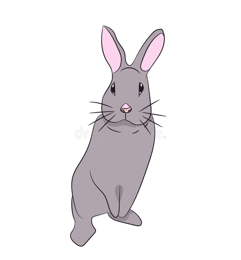 Animated Hare Stock Illustrations – 322 Animated Hare Stock ...
