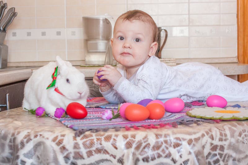 The Hare is Snow-white Beautiful and Fluffy. Easter Bunny on the Stock ...