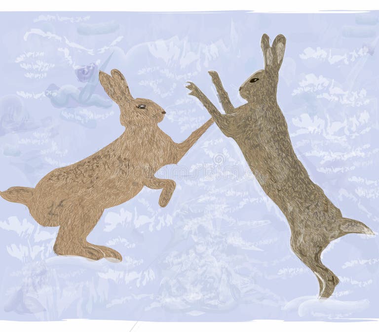 Hares stock photo. Image of hares, playing, snow, white - 42788468