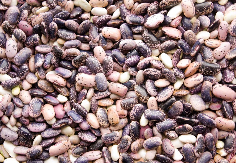 Haricot stock image. Image of market, group, haricot - 21351649