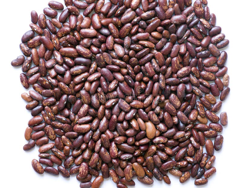 Haricot Beans Picture. Image: 4989444
