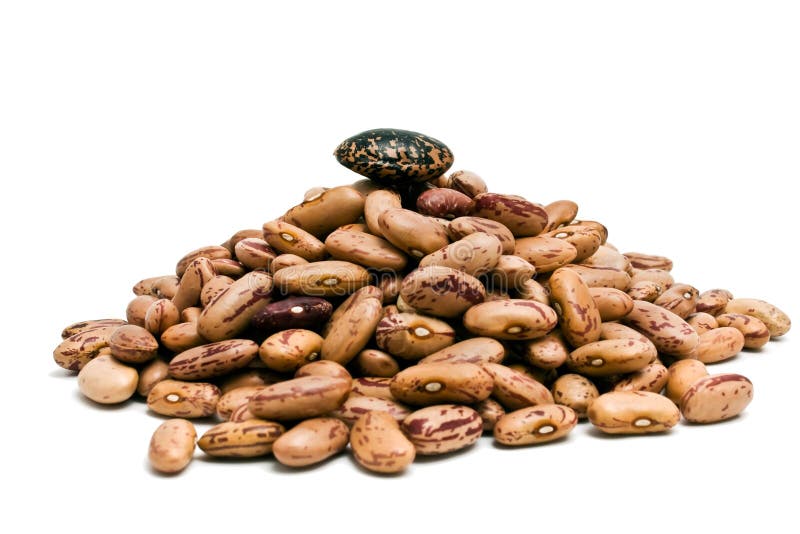 Haricot beans closeup stock image. Image of harvest, ingredient - 12129805