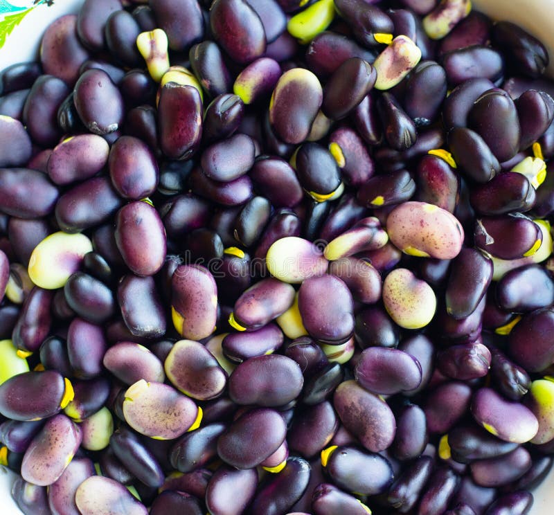 Haricot beans stock image. Image of food, grain, organic - 100203261
