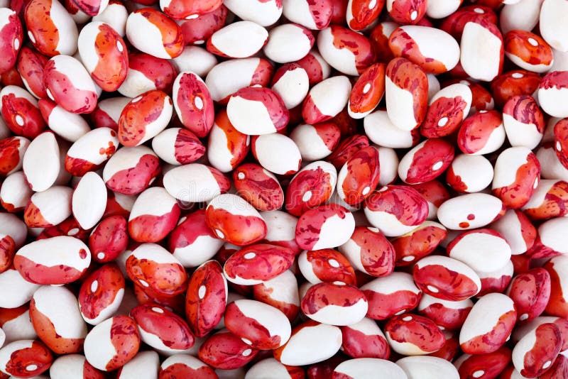 Haricot beans stock photo. Image of macro, cooking, bean - 59949470