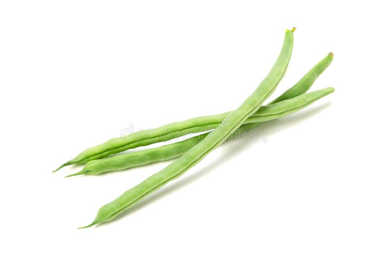 Ferme Indienne De Haricot Commun De Village En Inde Photo stock - Image ...