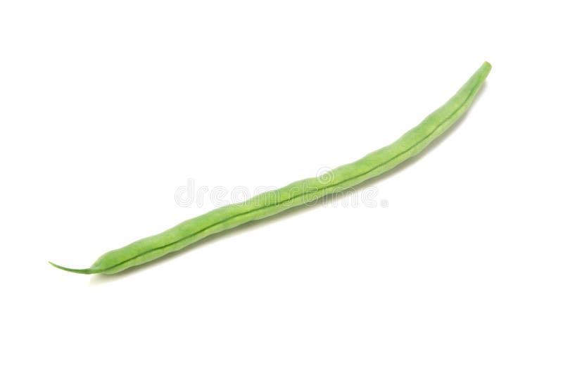 Haricot commun image stock. Image du rein, frais, repas - 24976423