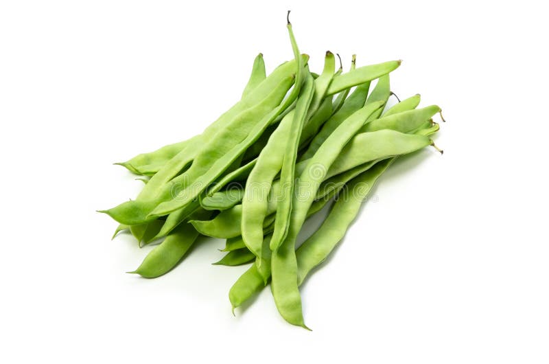 Haricot Commun (phaseolus Vulgaris) Image stock - Image du ingrédient ...
