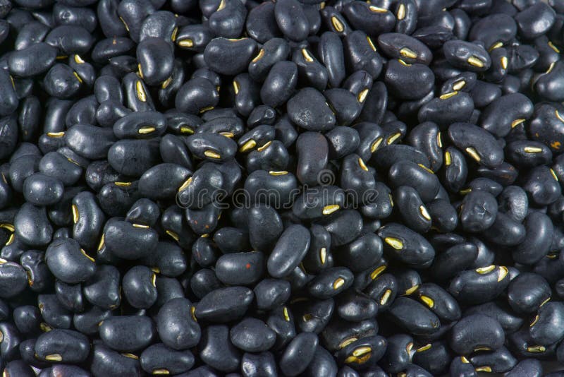 28,383 Photos de Haricot Noir Sec - Photos de stock gratuites et libres ...