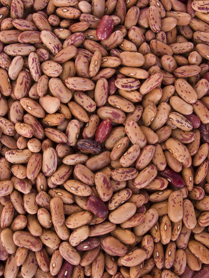 Haricot Pinto photo stock. Image du ingrédient, brun - 19378638