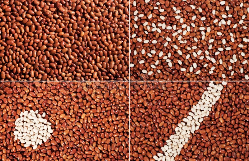 Haricot rouge image stock. Image du graines, configuration - 22823587