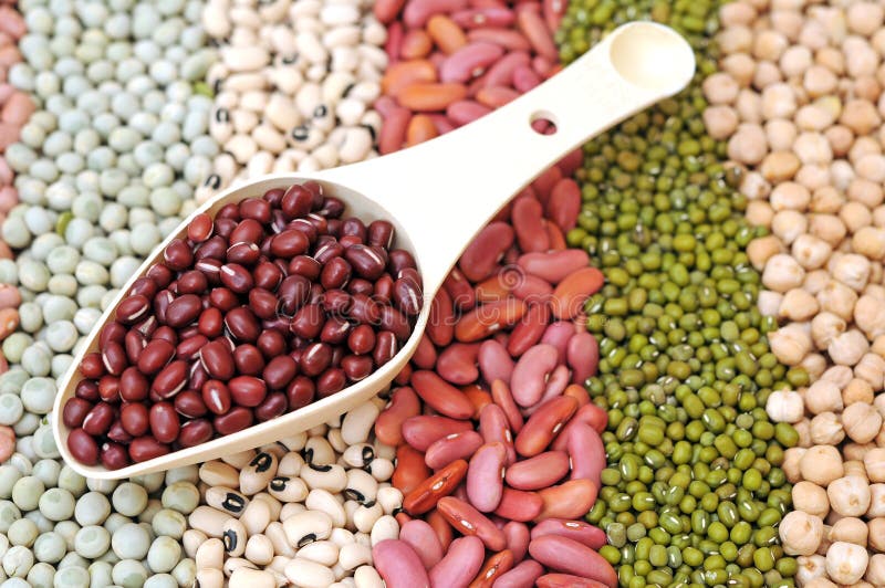Haricot rouge image stock. Image du vert, noir, nourriture - 31615483