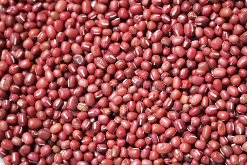 Haricot rouge image stock. Image du rouge, haricot, moisson - 11101459