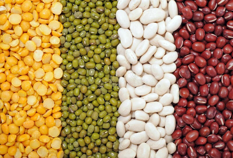 Haricot Vert, Jaune, Blanc Et Rouge Image stock - Image du légumineuses ...