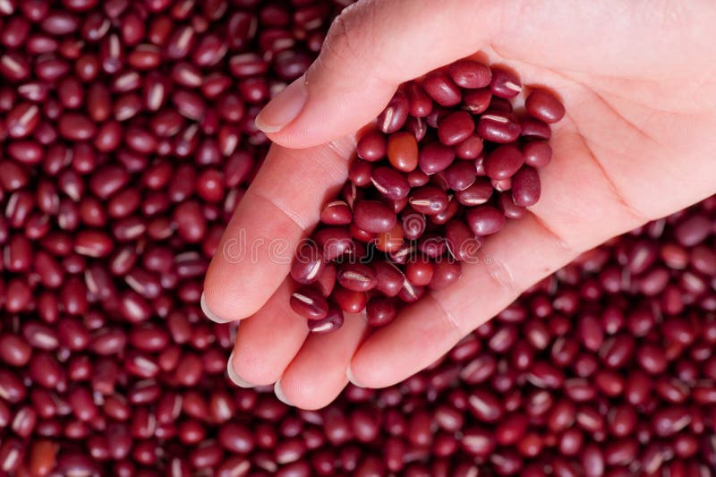 Haricots Rouges D'azuki Dans La Cuvette En Bois Image stock - Image of ...