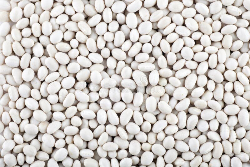 Haricots blancs secs photo stock. Image du ingrédient - 23645272