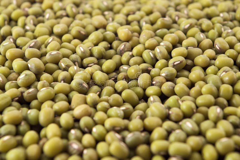 Haricots de mungo photo stock. Image du végétarien, frais - 4780478