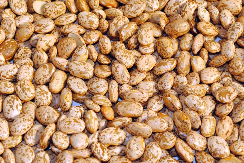 Pinto Beans image stock. Image du haricot, mexicain, sain - 44889735