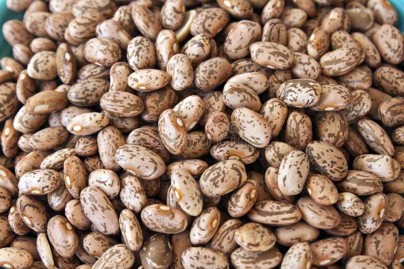 Haricots de Pinto image stock. Image du cuisine, poussin - 30186619