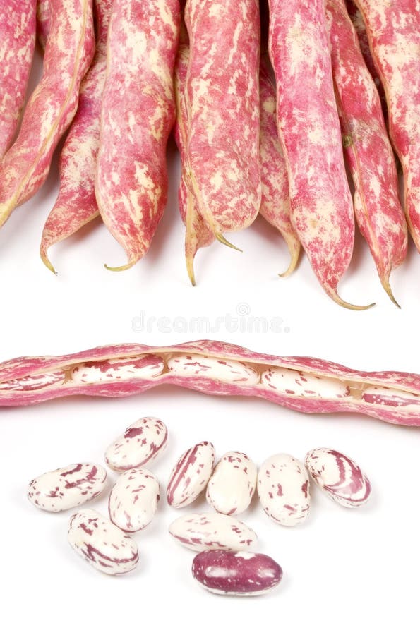 Haricots de romano image stock. Image du légumineuses - 12815671