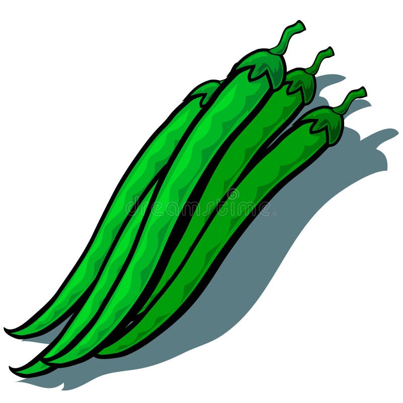 Haricot Vert Stock Illustrations, Vecteurs, & Clipart – (40,836 Stock ...