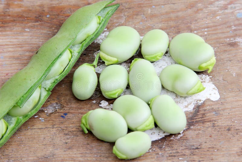 Haricots frais de soja image stock. Image du arome, agriculture - 68445499