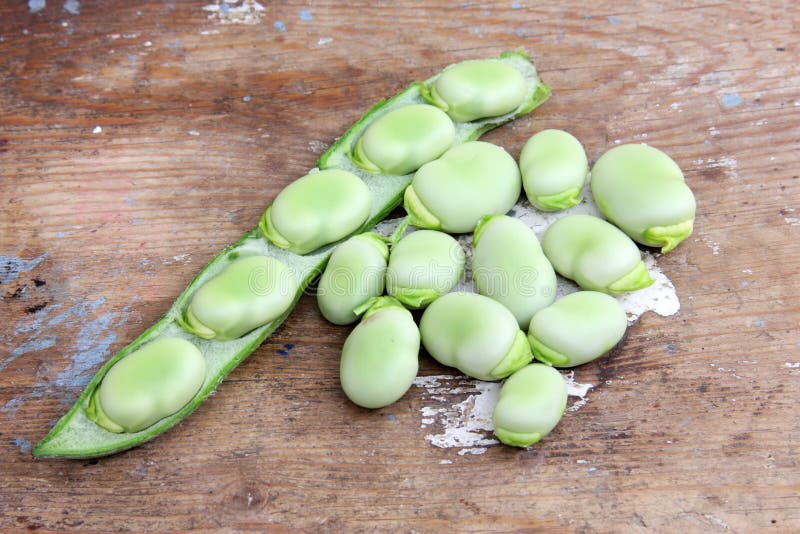 Haricots frais de soja image stock. Image du arome, agriculture - 68445499