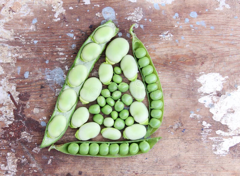 Haricots frais de soja image stock. Image du arome, agriculture - 68445499