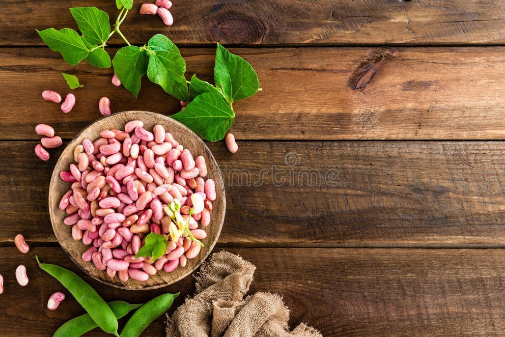 Haricots Nains Rouges Haricot Photo stock - Image du fond, sain: 124292672