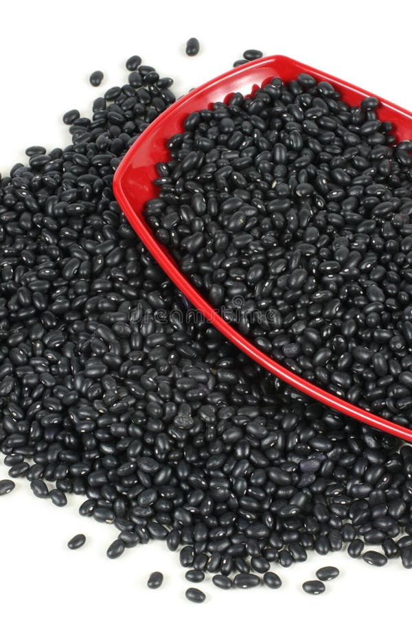 Haricots noirs photo stock. Image du ferme, amérique - 13199434