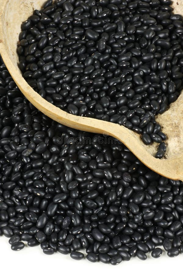 Haricots noirs photo stock. Image du ferme, amérique - 13199434