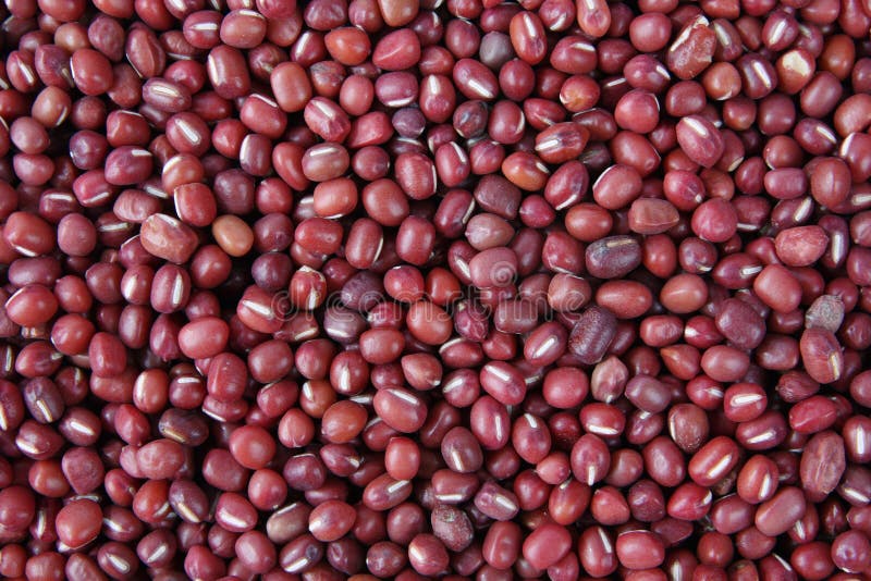 Graines rouges image stock. Image du conception, rouge, amour - 88123