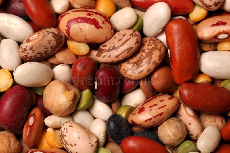 Haricots secs photo stock. Image du haricots, cuisinier - 19997480