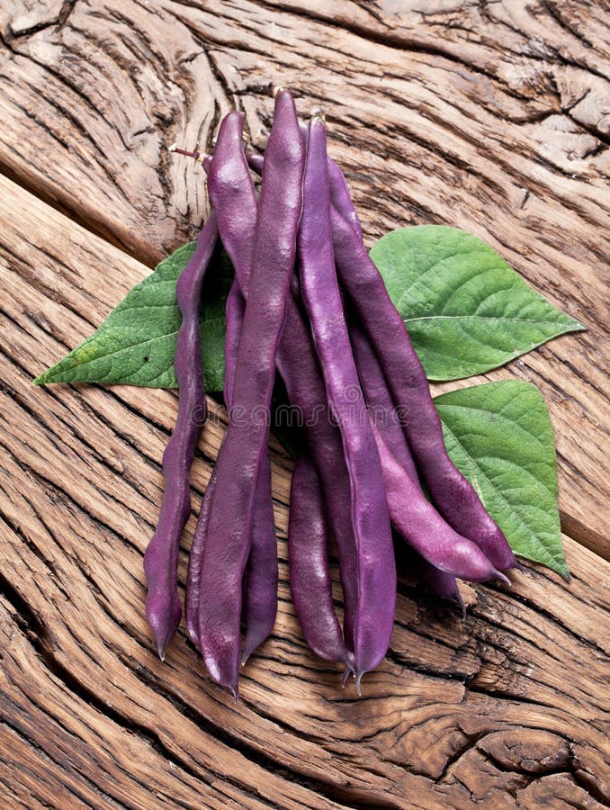 Haricots Verts Violets D'isolement Sur Un Blanc Photo stock - Image du ...