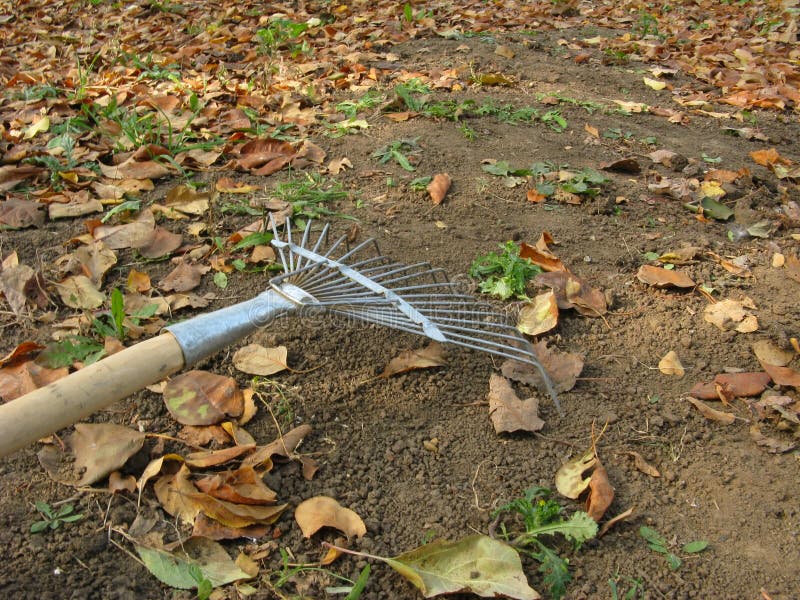 Hark stock afbeelding. Image of oogst, verzamelen, meubilair - 11873103