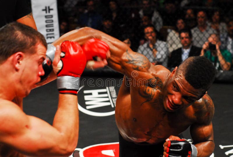 Harley Beekman Lands a Punch Editorial Stock Photo - Image of punch ...