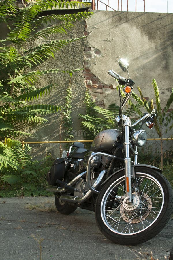 Harley Motorcycle outdoor editorial stock photo. Image of motorcycle ...