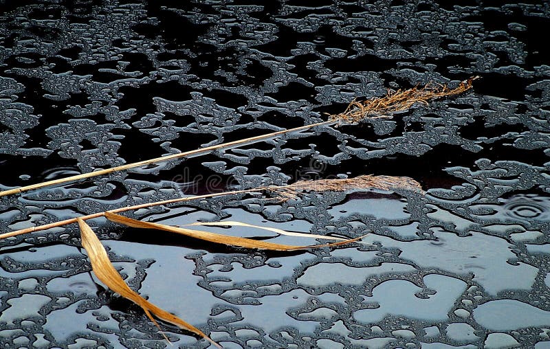 Harmed nature stock image. Image of harmed, damage, spot - 6802731