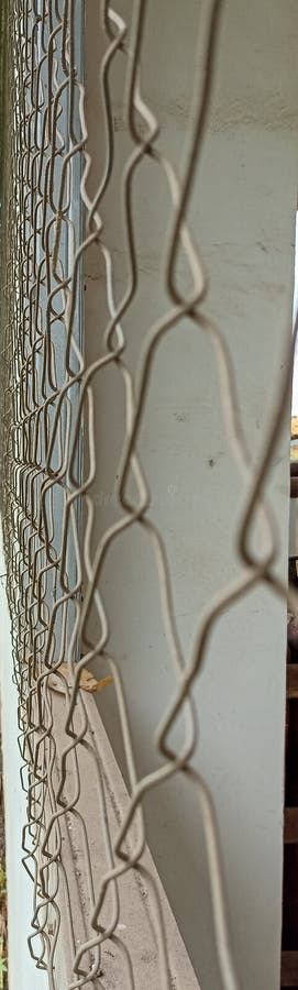 Harmonica Wire Fence Used by a Warehouse Stock Photo - Image of leaf ...