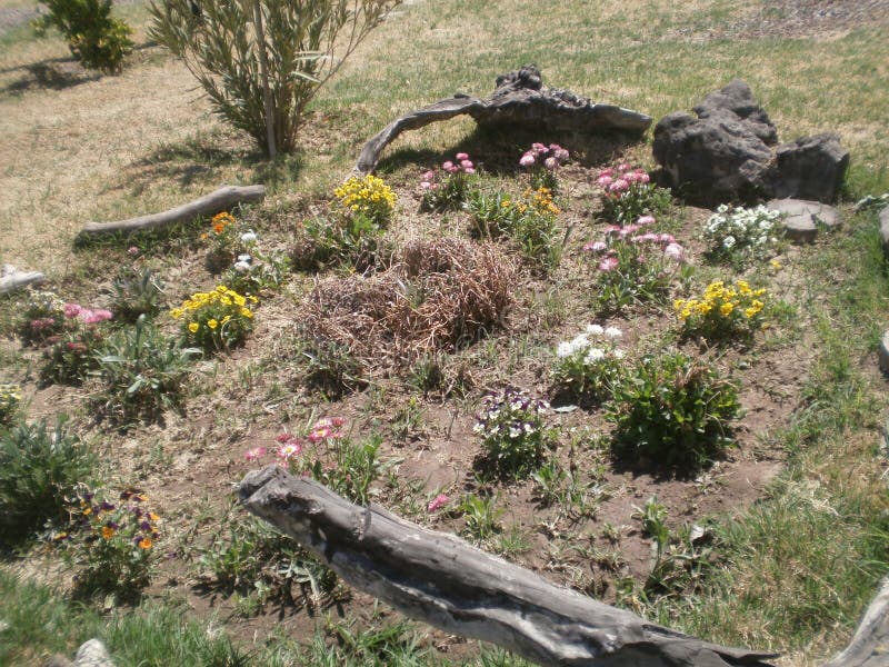 Small field stock photo. Image of nature, tranquility - 120187482